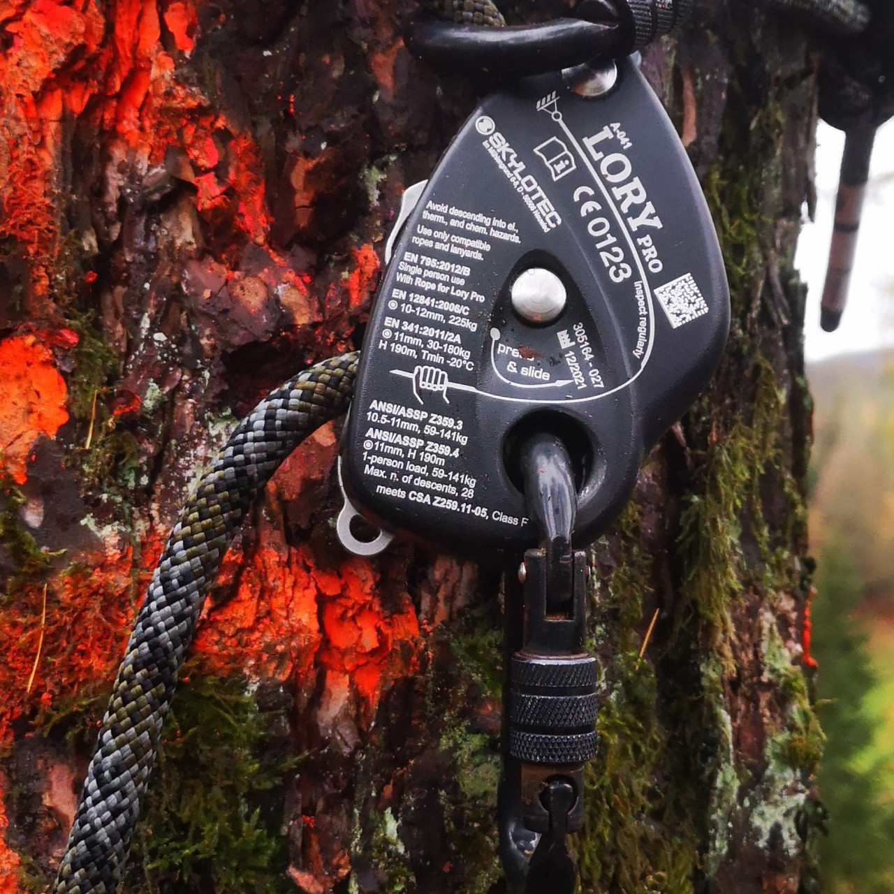 Skylotec Abseilgerät Lory PRO für Klettersitze kaufen